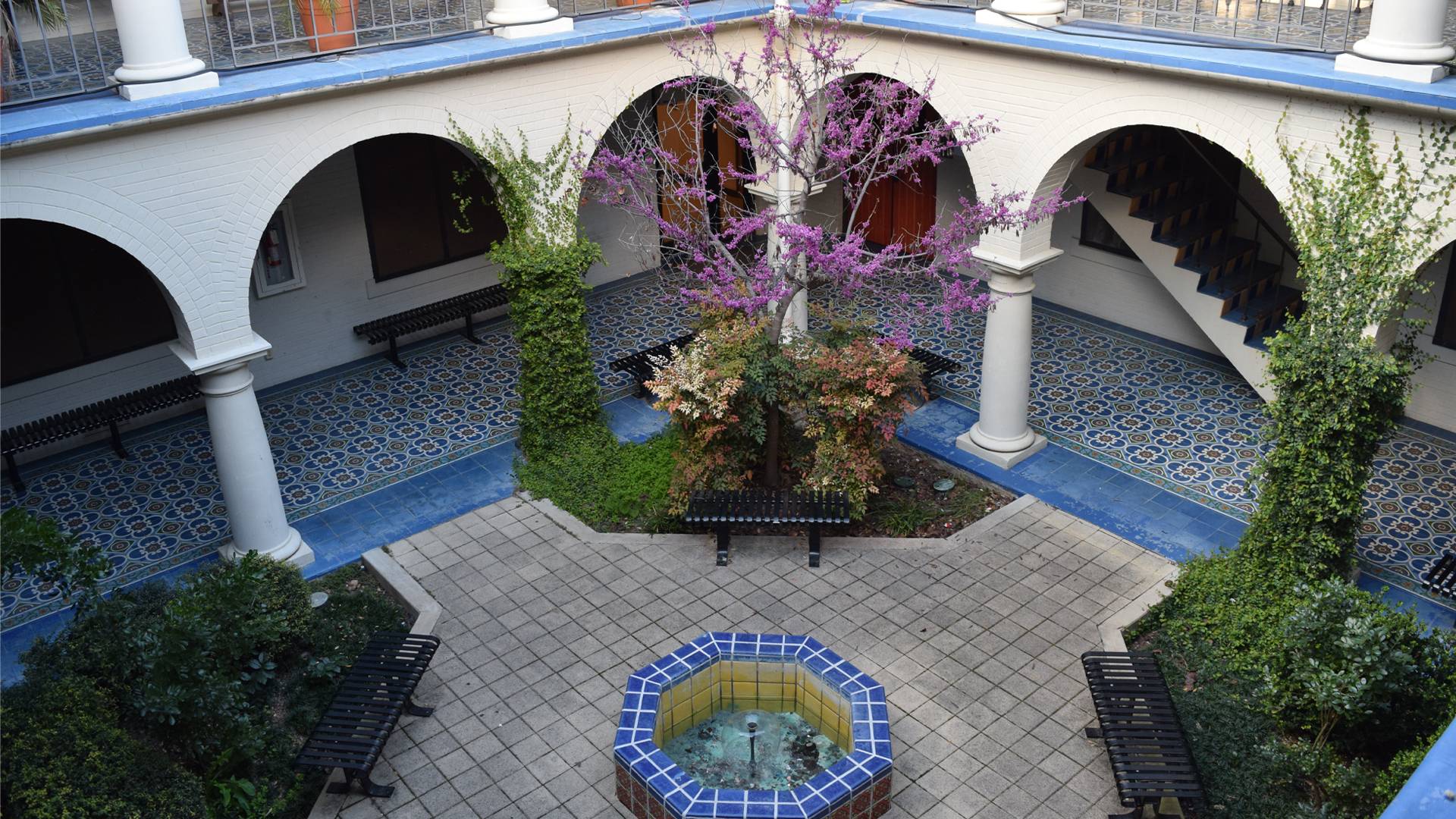 Department of History : Texas State University