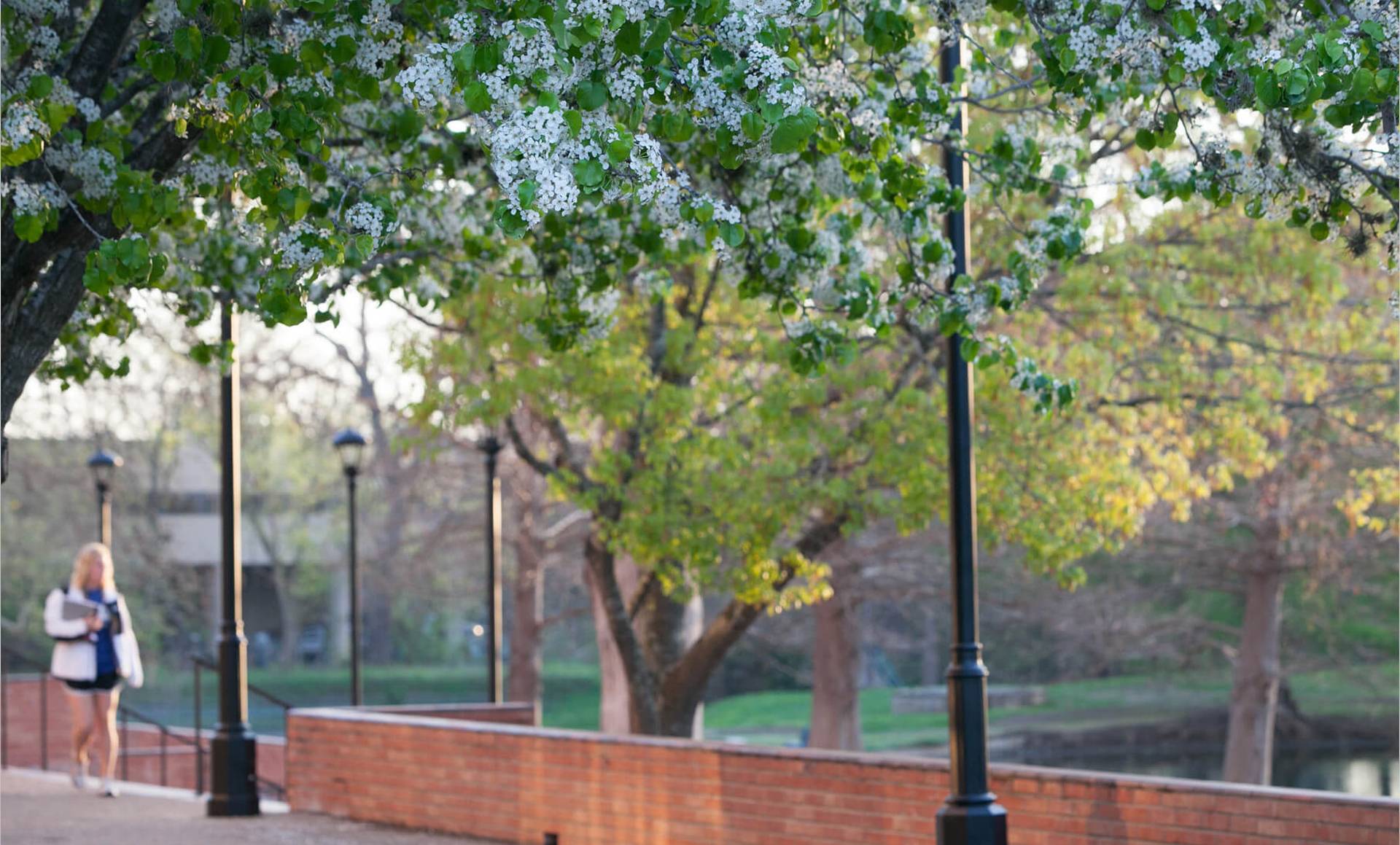 Study Abroad Program : Department of History : Texas State University