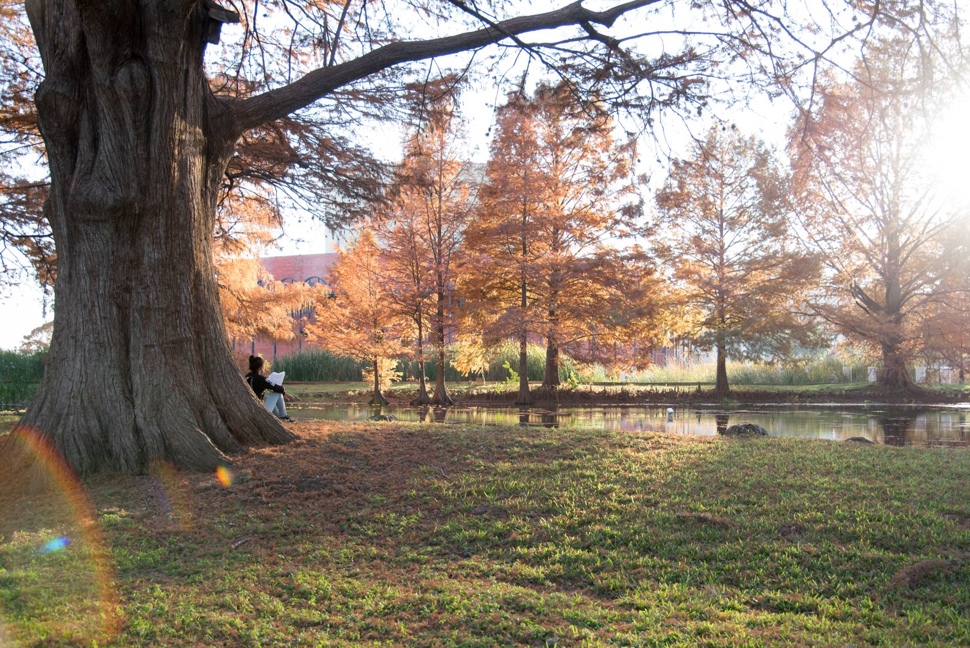 School of Theatre, Dance & Film : Texas State University