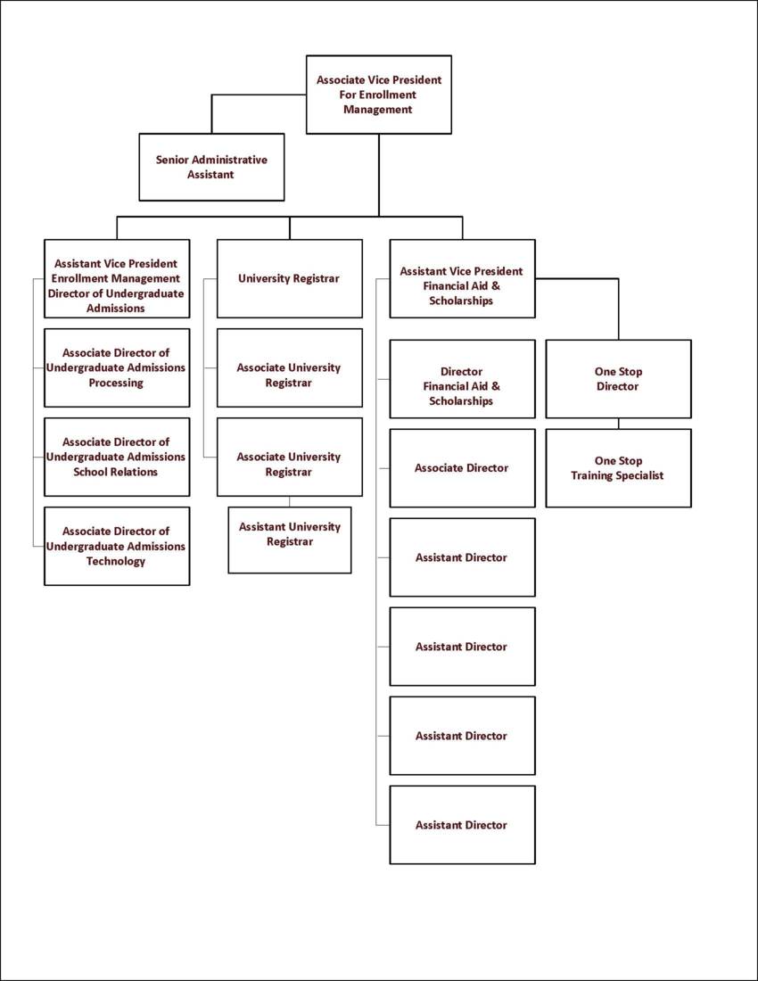 Organizational Chart : Enrollment Management : Texas State University