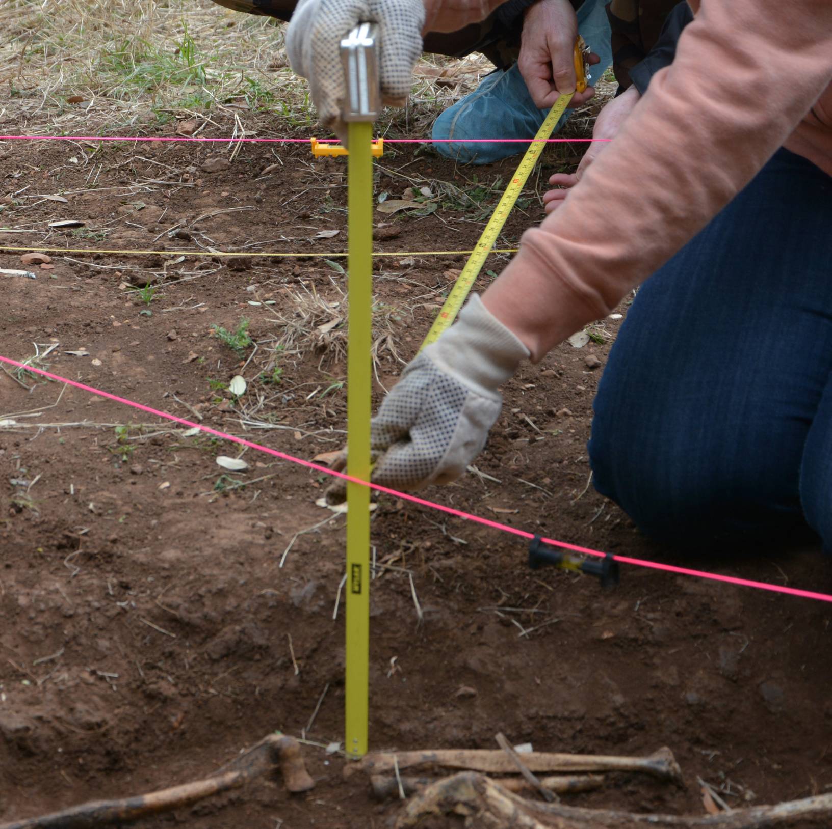 TEEX Skeletal Death Investigation Course : Forensic Anthropology Center ...