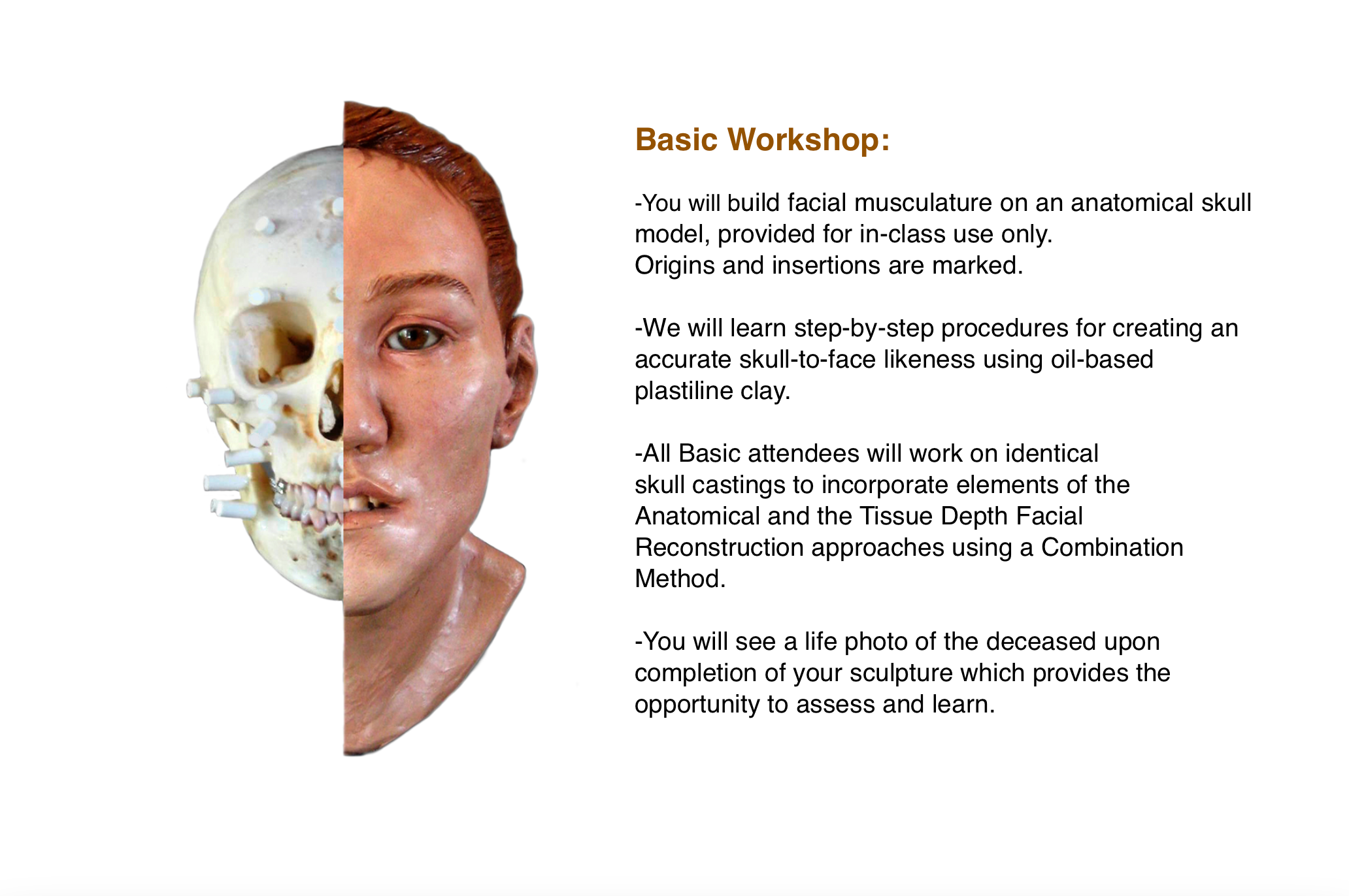 Forensic Art: Forensic Facial Reconstruction Sculpture : Forensic ...