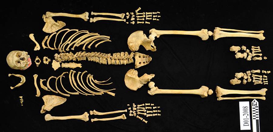 Researchers : Forensic Anthropology Center : Texas State University