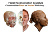 Forensic Art: Forensic Facial Reconstruction Sculpture : Forensic ...