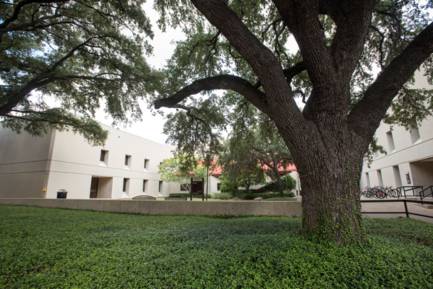 Music Performance : The Graduate College : Texas State University