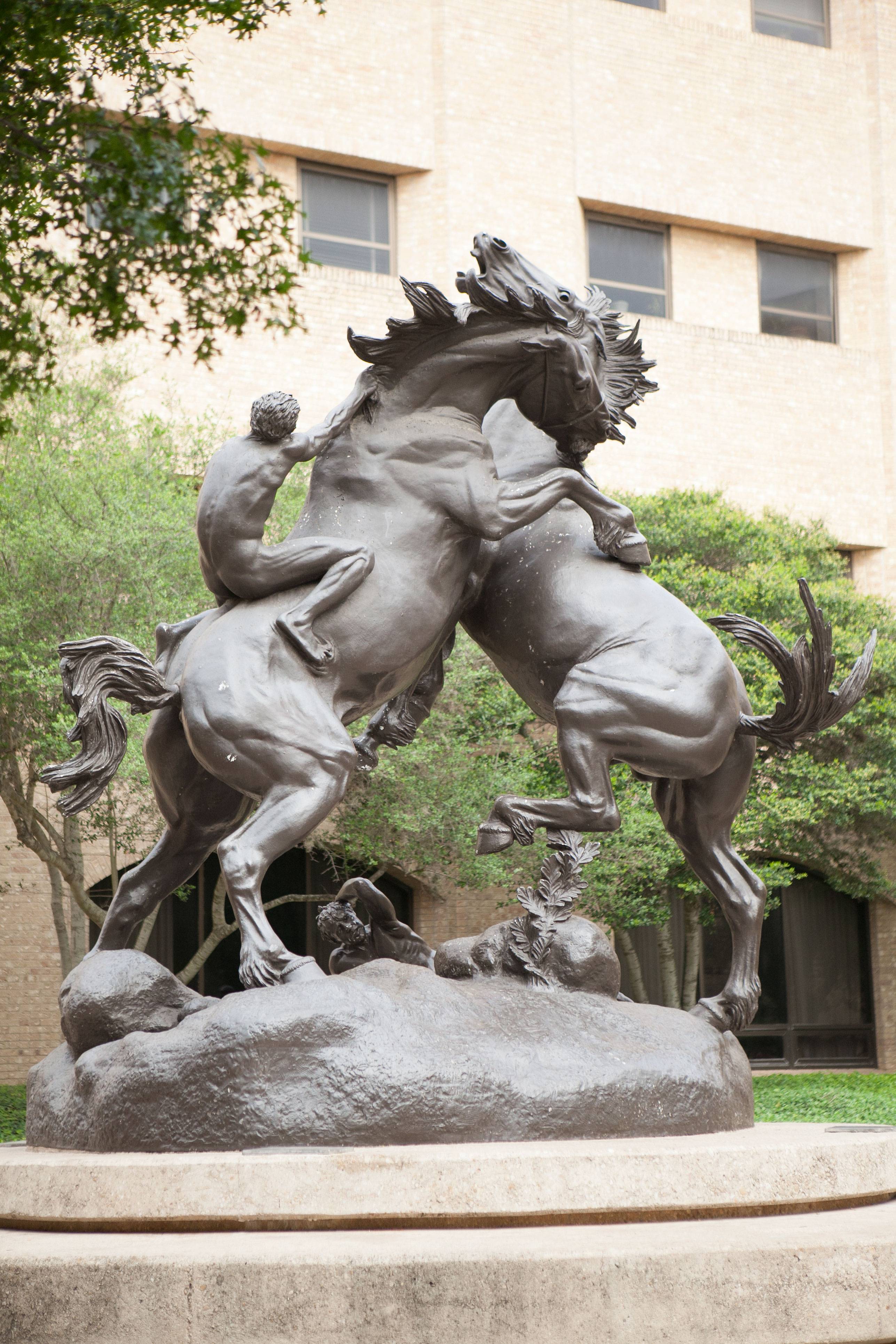 Fighting Stallions : Texas State University : Texas State University