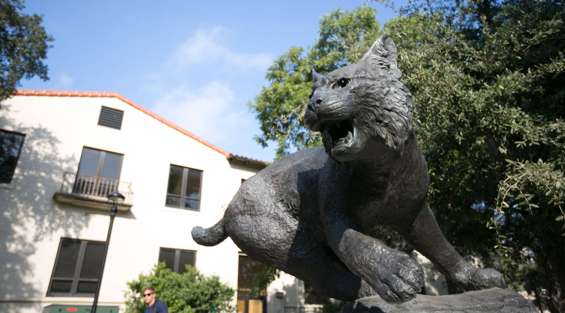 Bobcat Statue : Texas State University : Texas State University