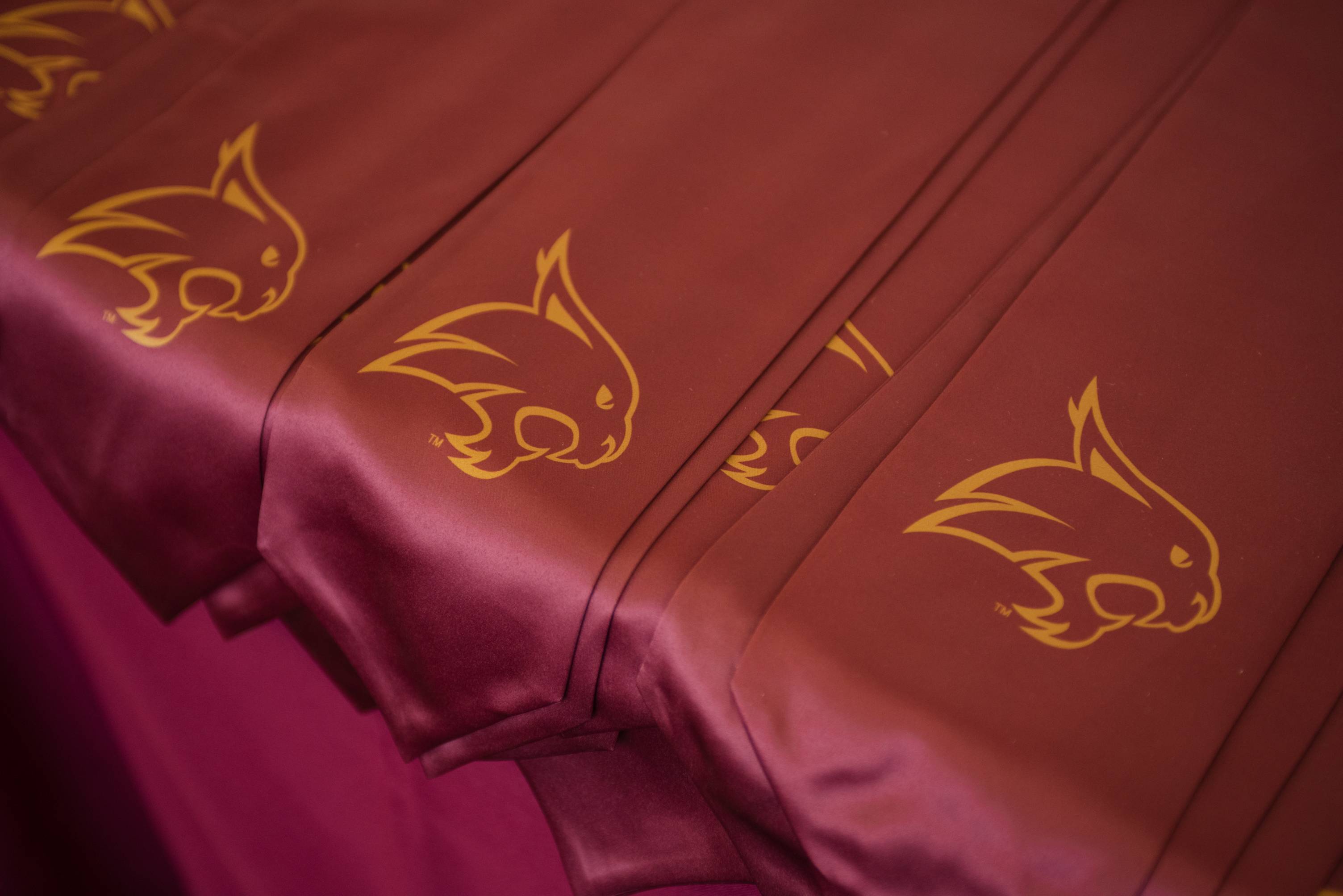 Bobcat Logo : Texas State University : Texas State University