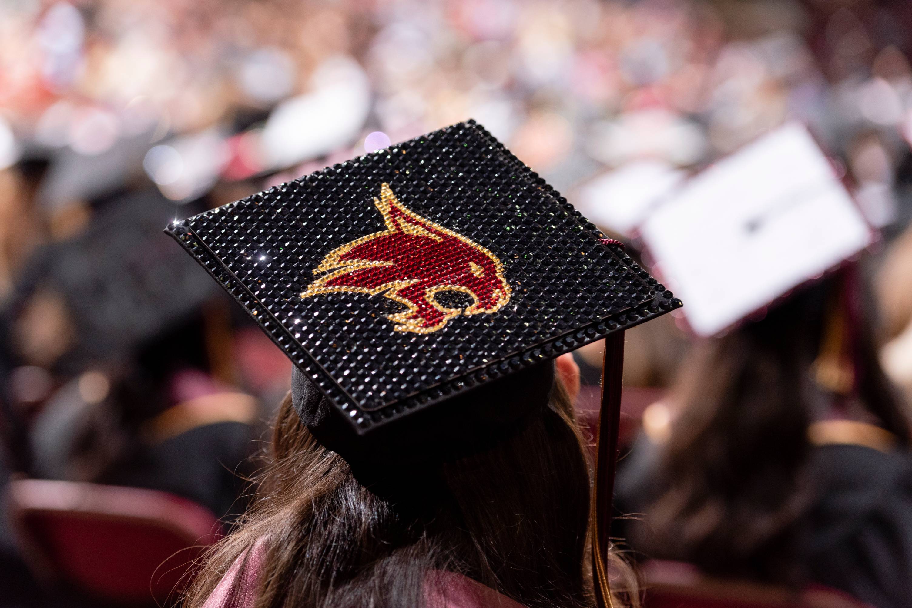 Bobcat Logo : Texas State University : Texas State University