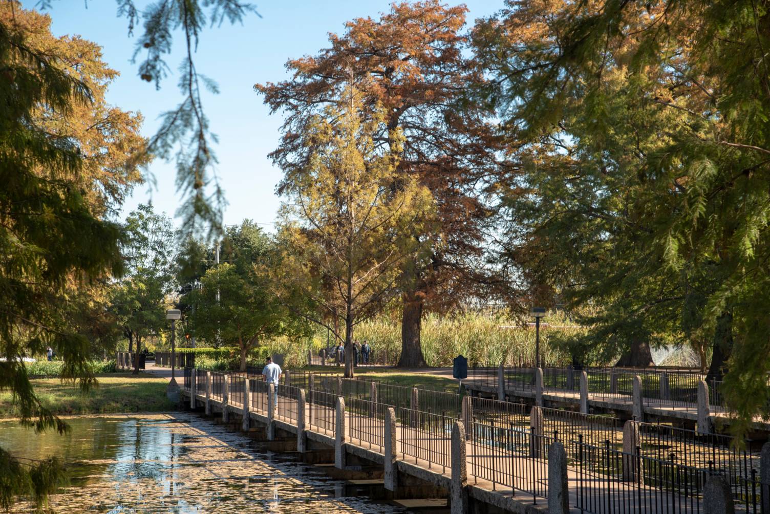 Old Fish Hatchery Ponds : Texas State University : Texas State University