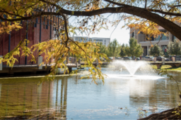 Old Fish Hatchery Ponds : Texas State University : Texas State University