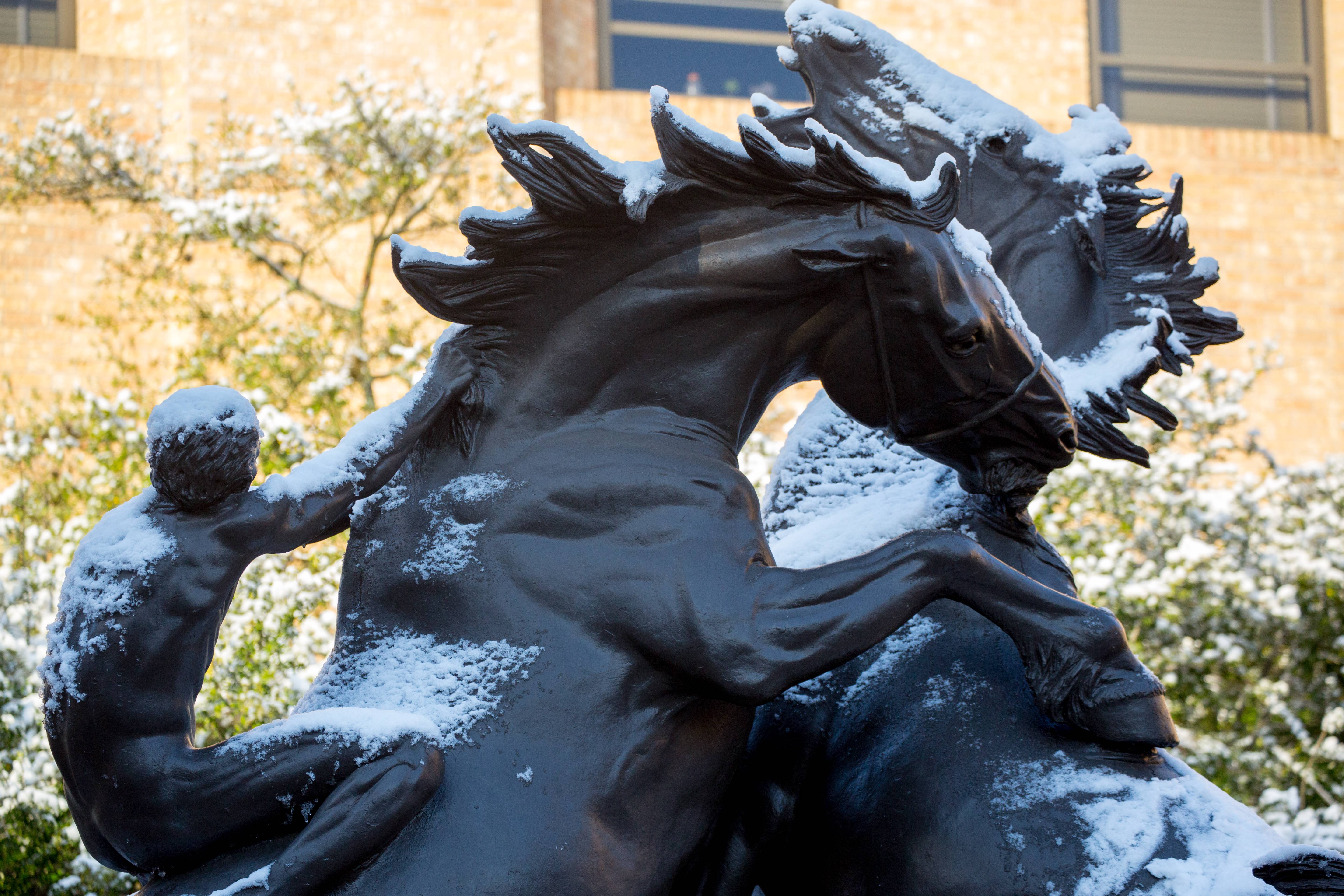 Fighting Stallions : Texas State University : Texas State University