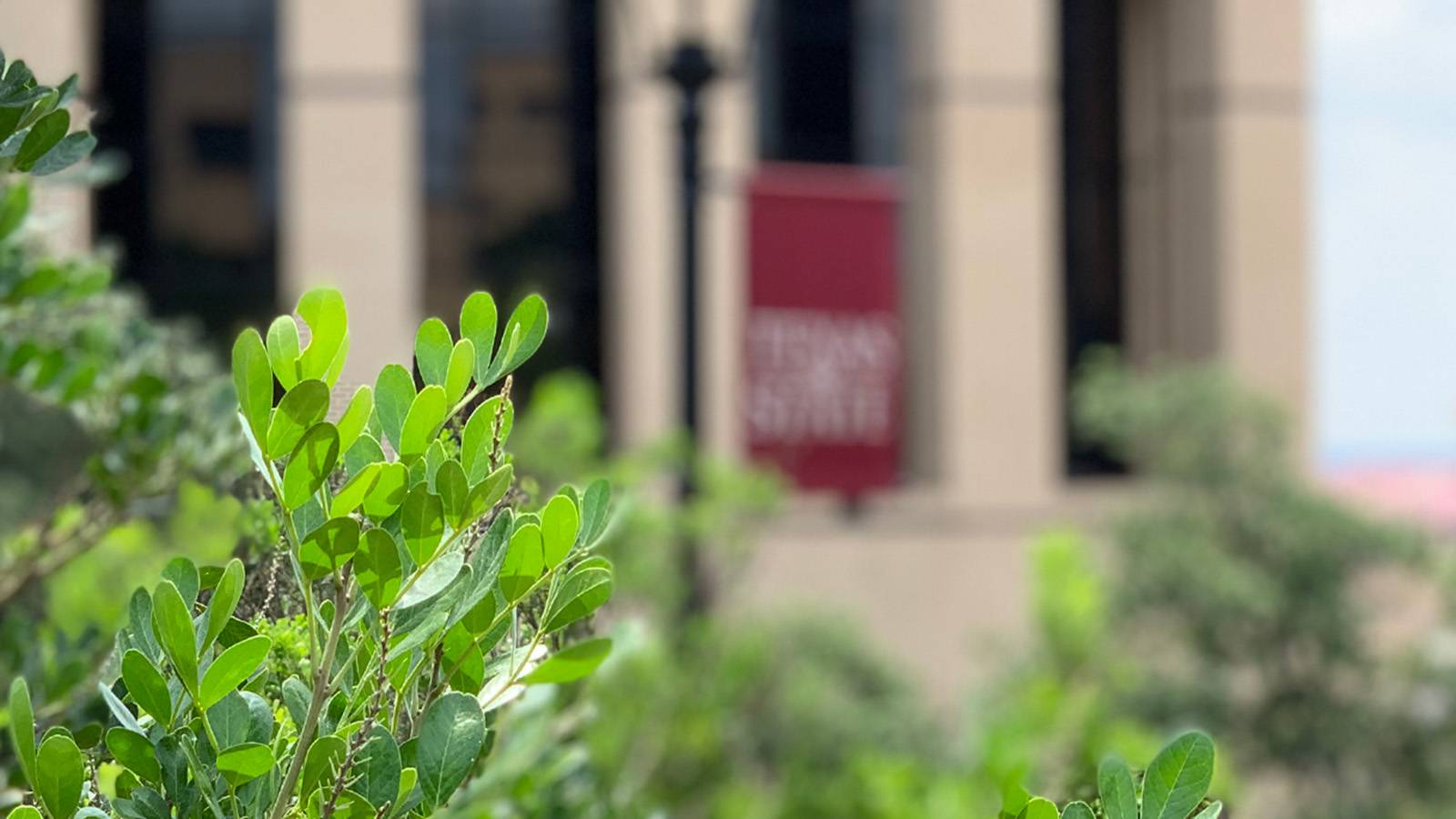News : McCoy College of Business : Texas State University
