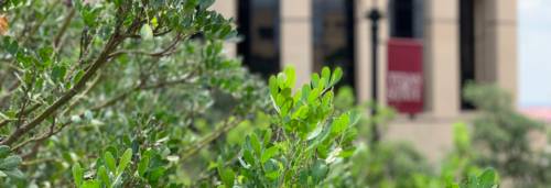 Careers and Internships : McCoy College of Business : Texas State ...