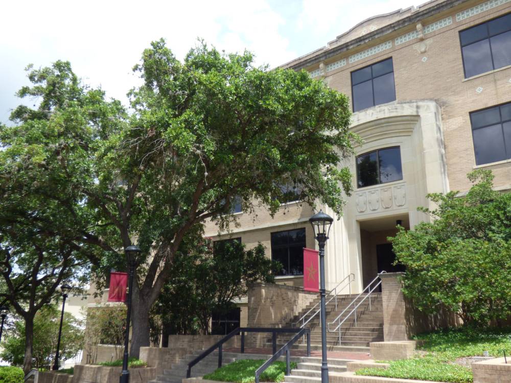 Department of World Languages and Literatures : Texas State University