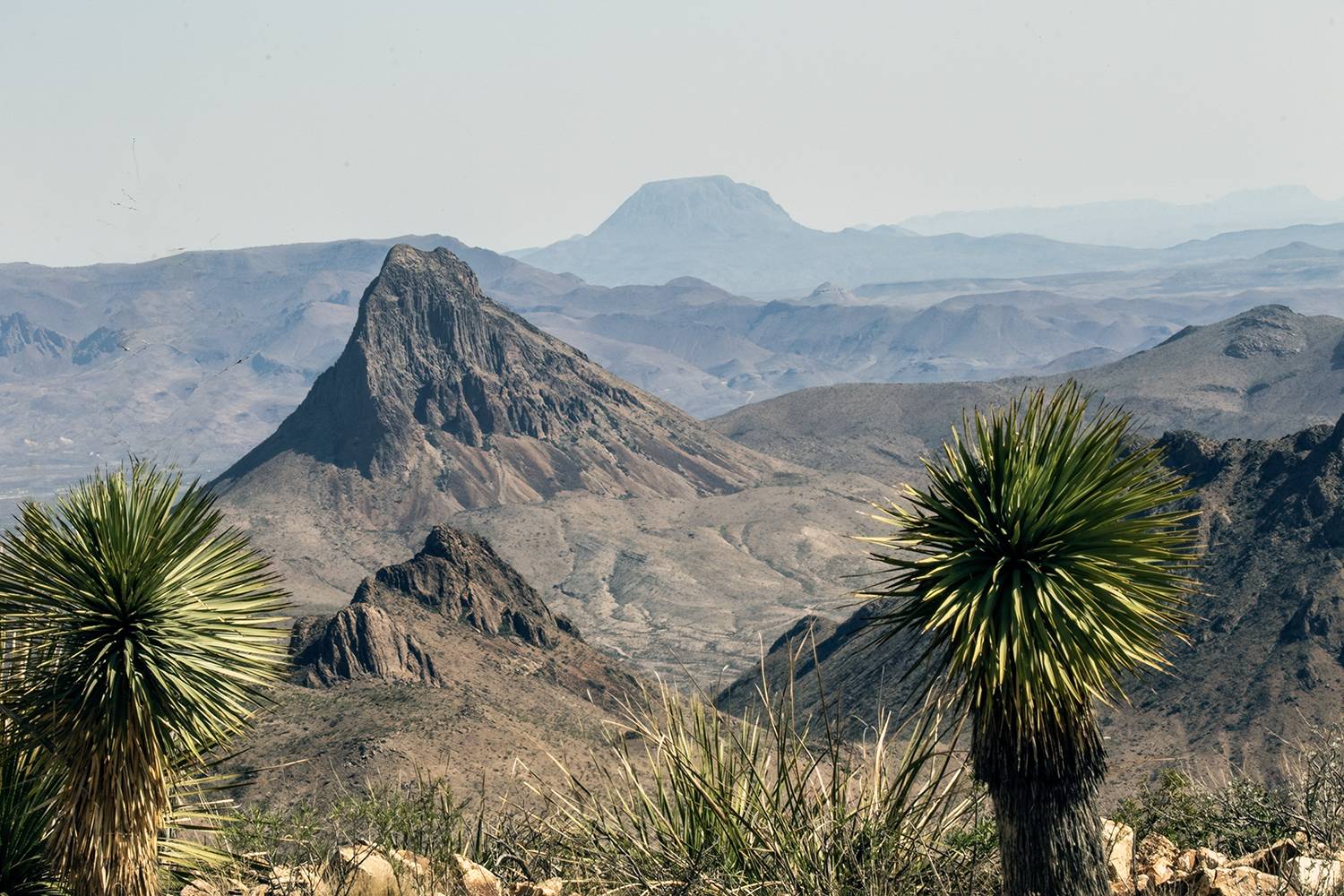 Texas State scientists head to the West Texas desert for Christmas ...