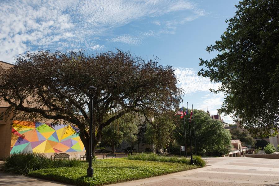 Faculty Staff Positions : Mathematics : Texas State University