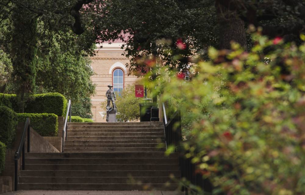 Forms : College of Science and Engineering Advising Center : Texas ...