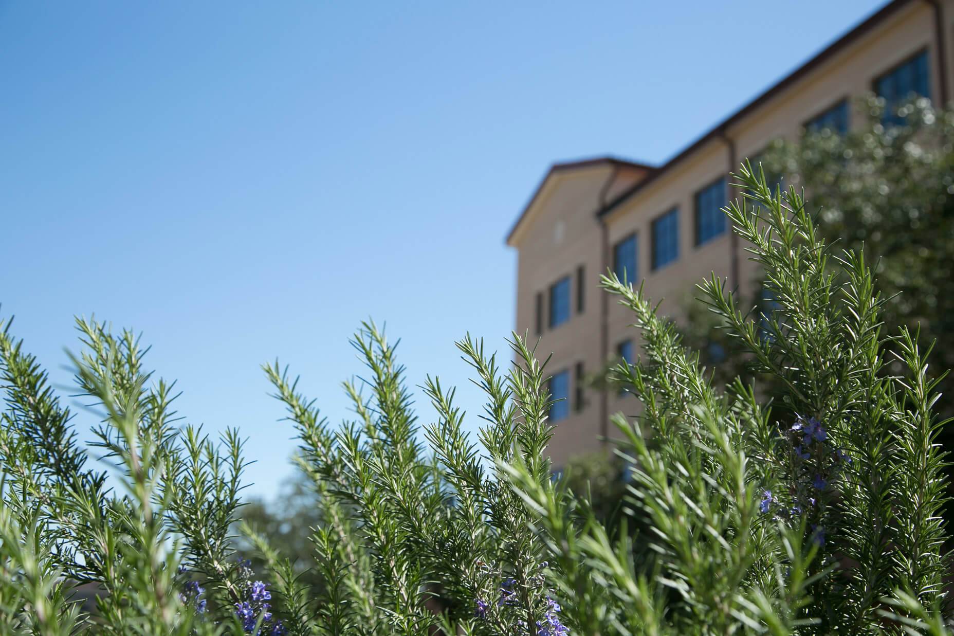 Registration & Records : TXST One Stop : Texas State University