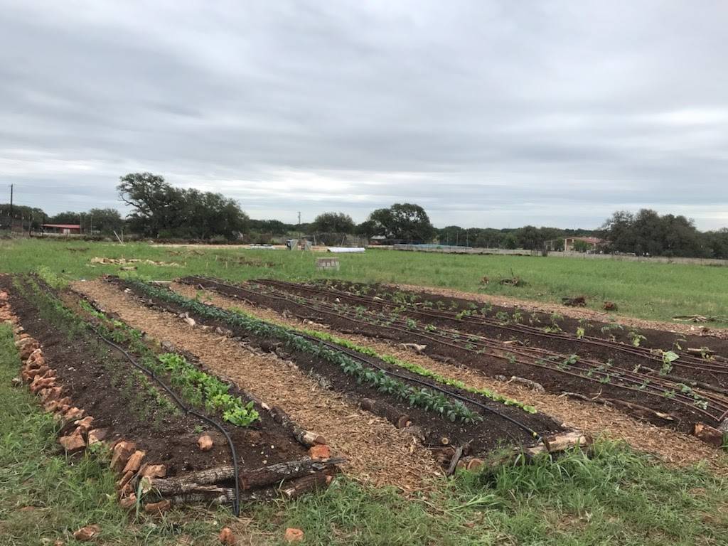 Bobcat Farm : Department of Agricultural Sciences : Texas State University