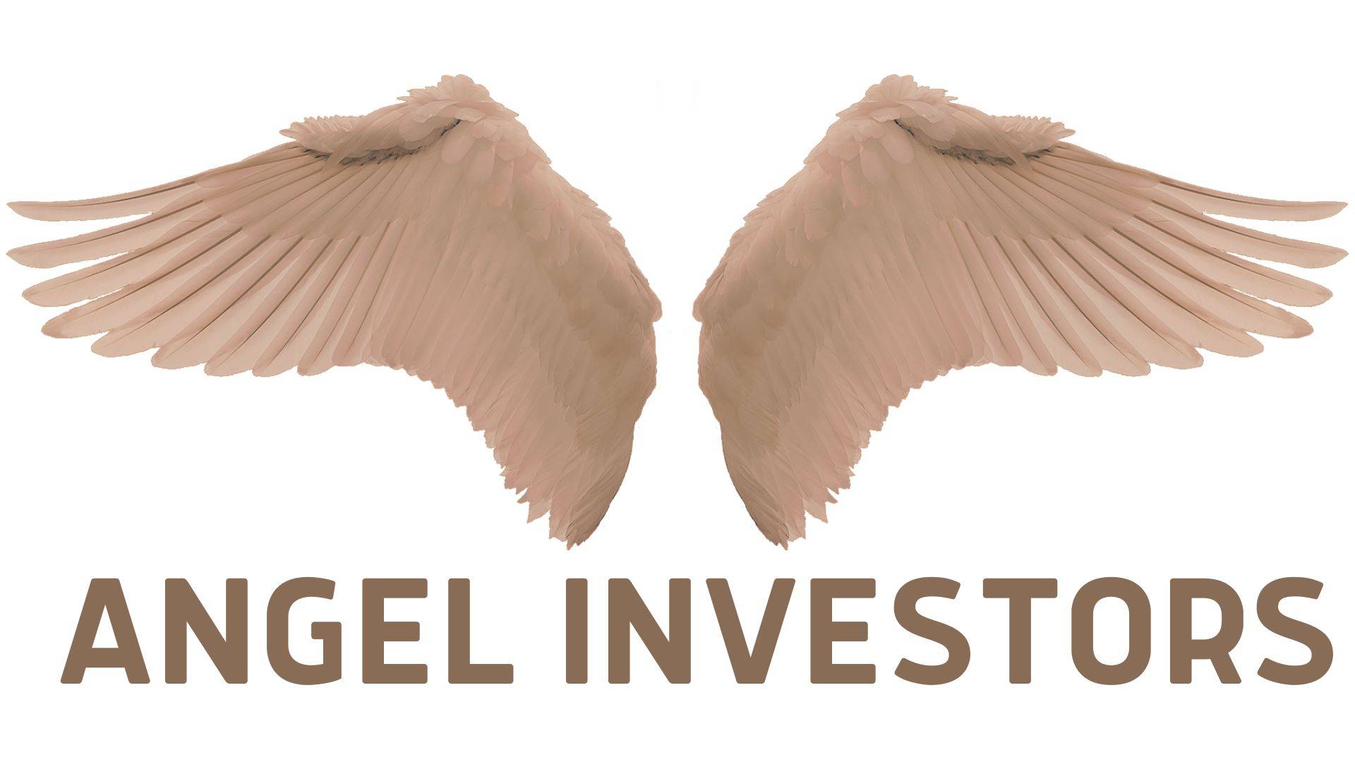 Angel Investors : Texas State SBDC : Texas State University