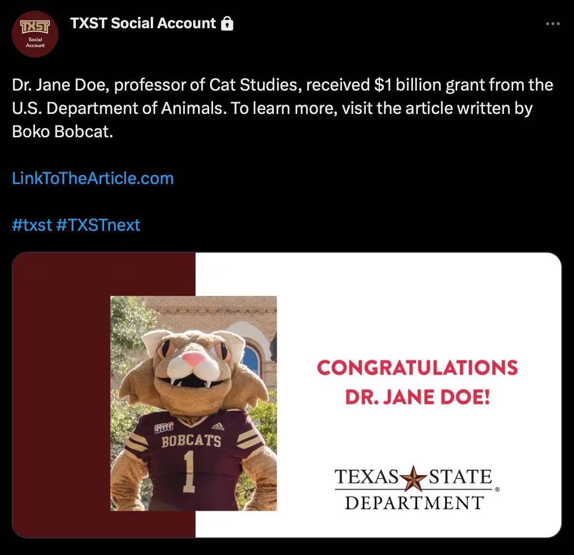 Social Graphics Guidelines : Social Media : Texas State University