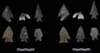 Projectile Points : Exploring Spring Lake: the Archaeology and Culture ...