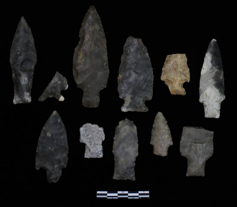 Projectile Points : Exploring Spring Lake: the Archaeology and Culture ...