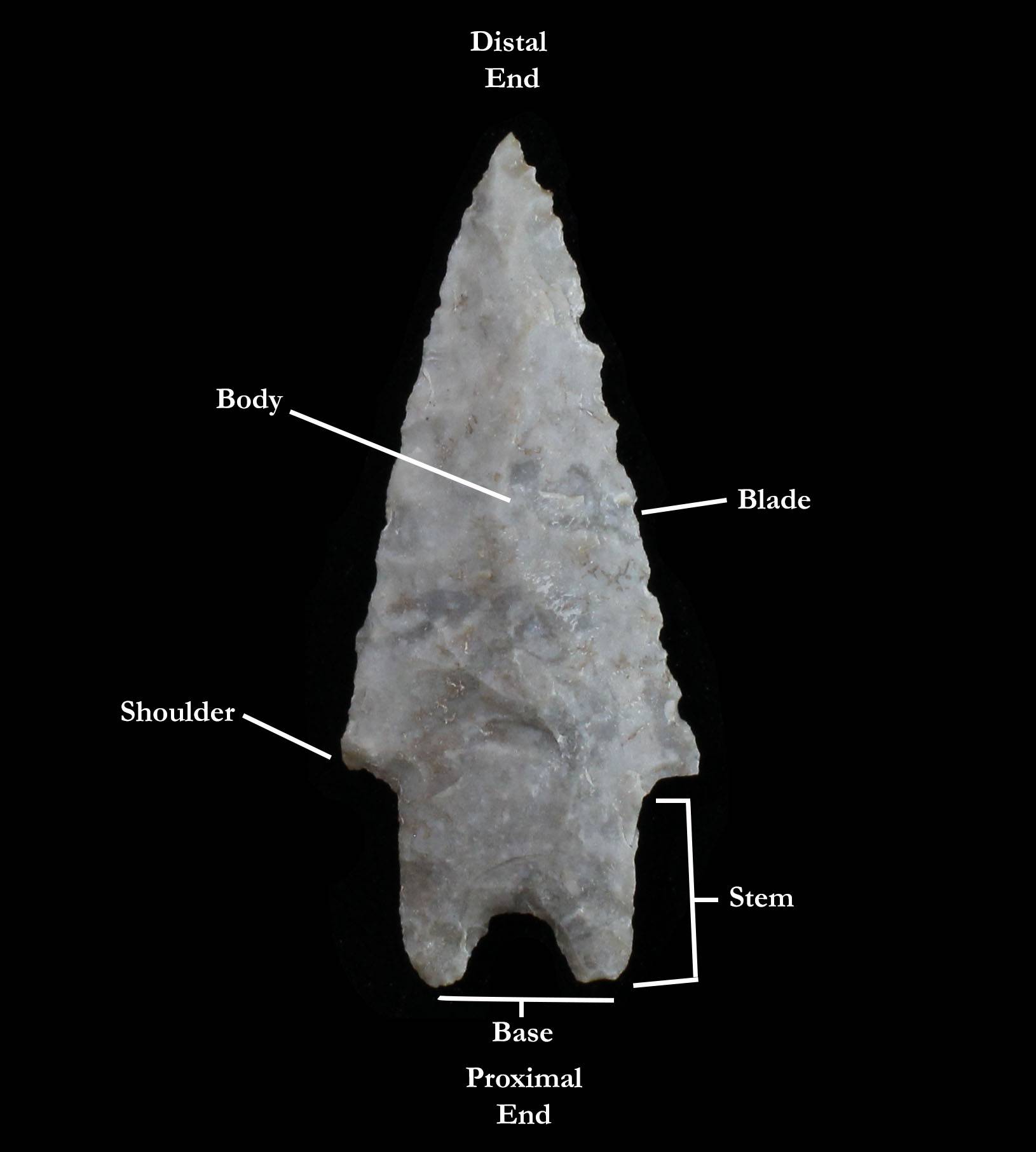 Projectile Points : Exploring Spring Lake: the Archaeology and Culture ...