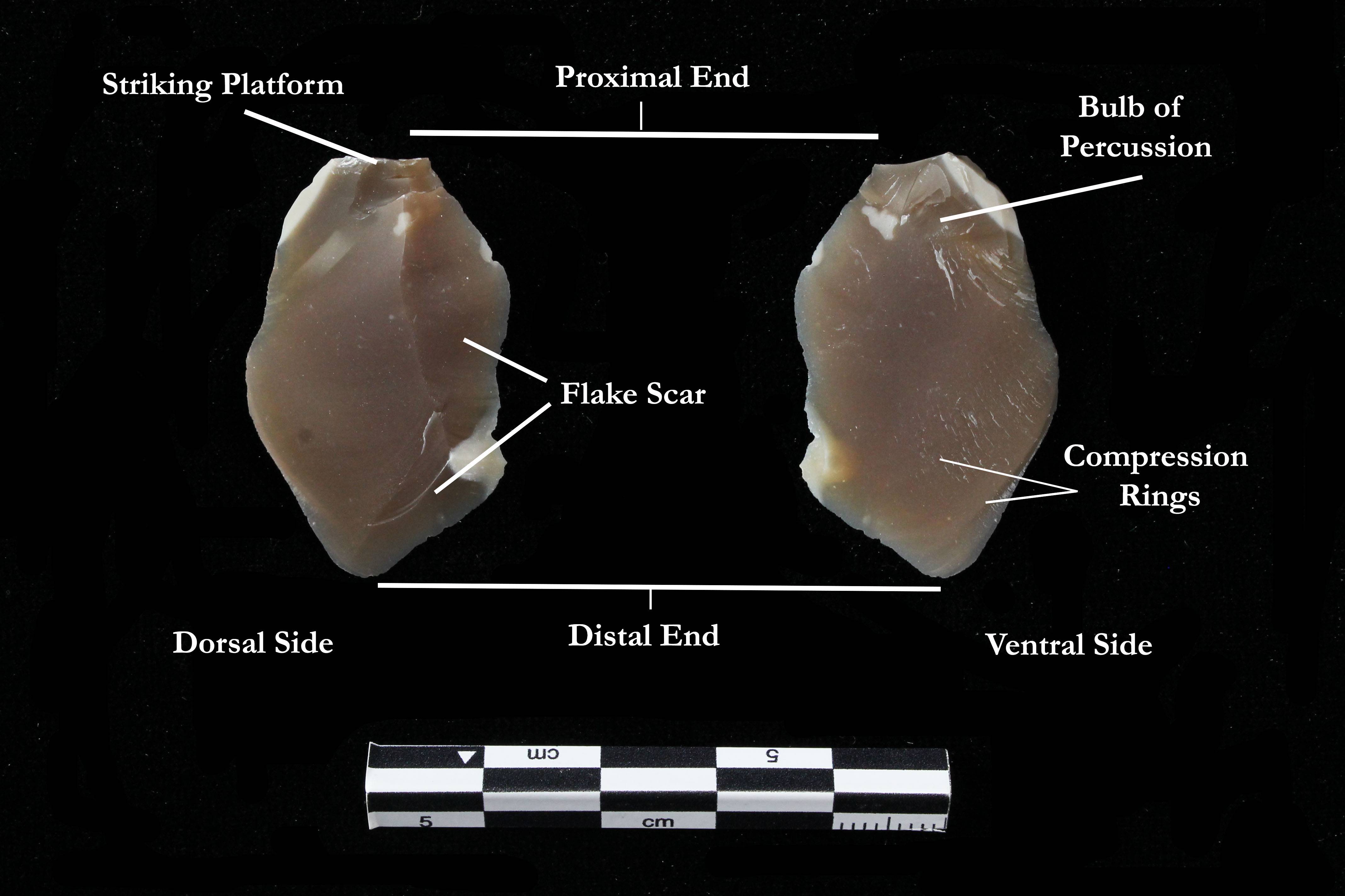 Cores and Debitage : Exploring Spring Lake: the Archaeology and Culture ...