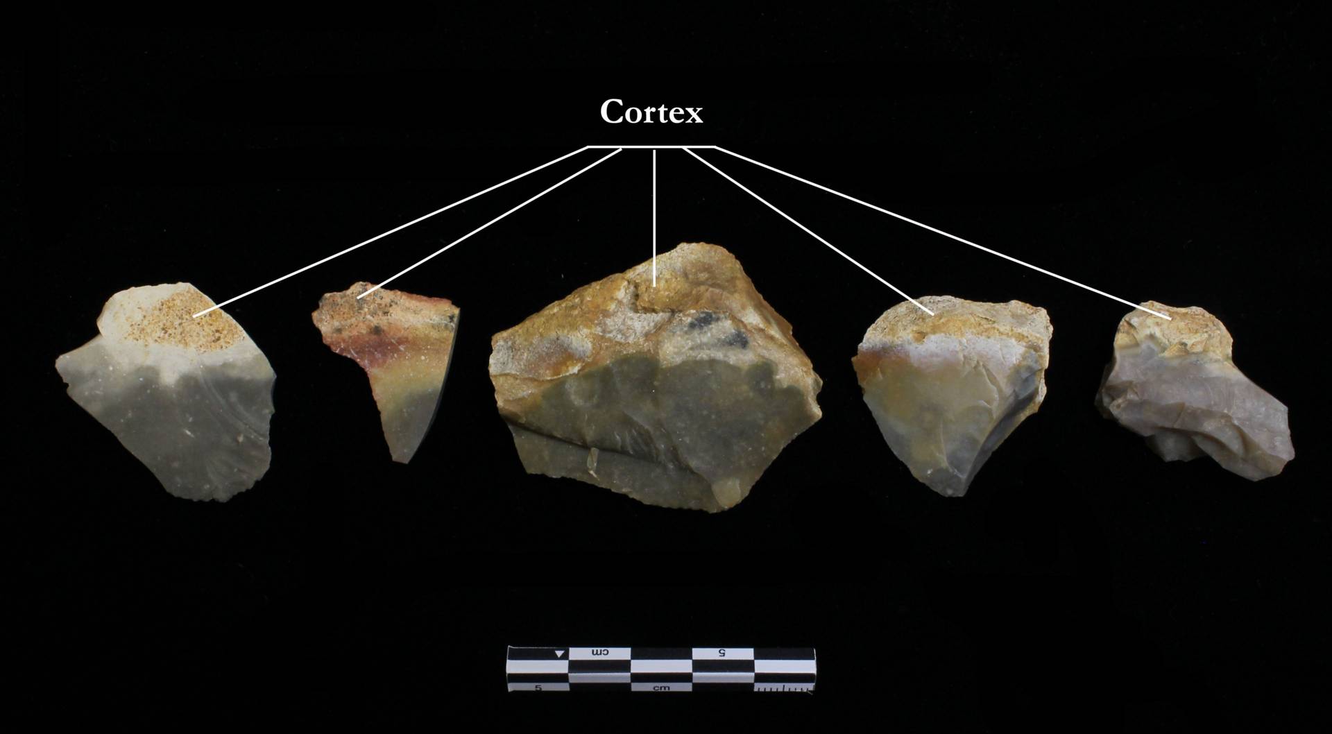 Cores and Debitage : Exploring Spring Lake: the Archaeology and Culture ...