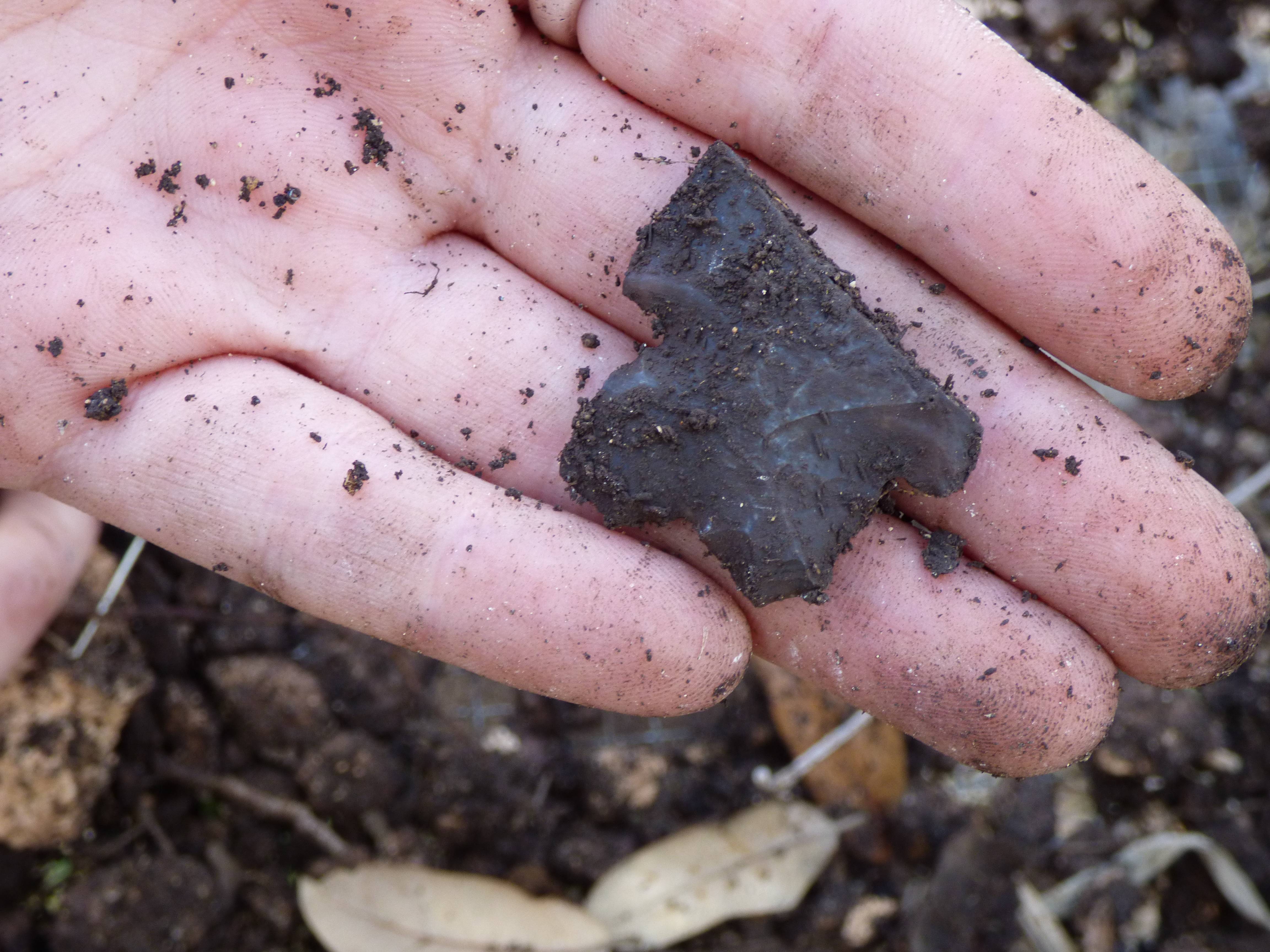 What is Archaeology? : Exploring Spring Lake: the Archaeology and ...