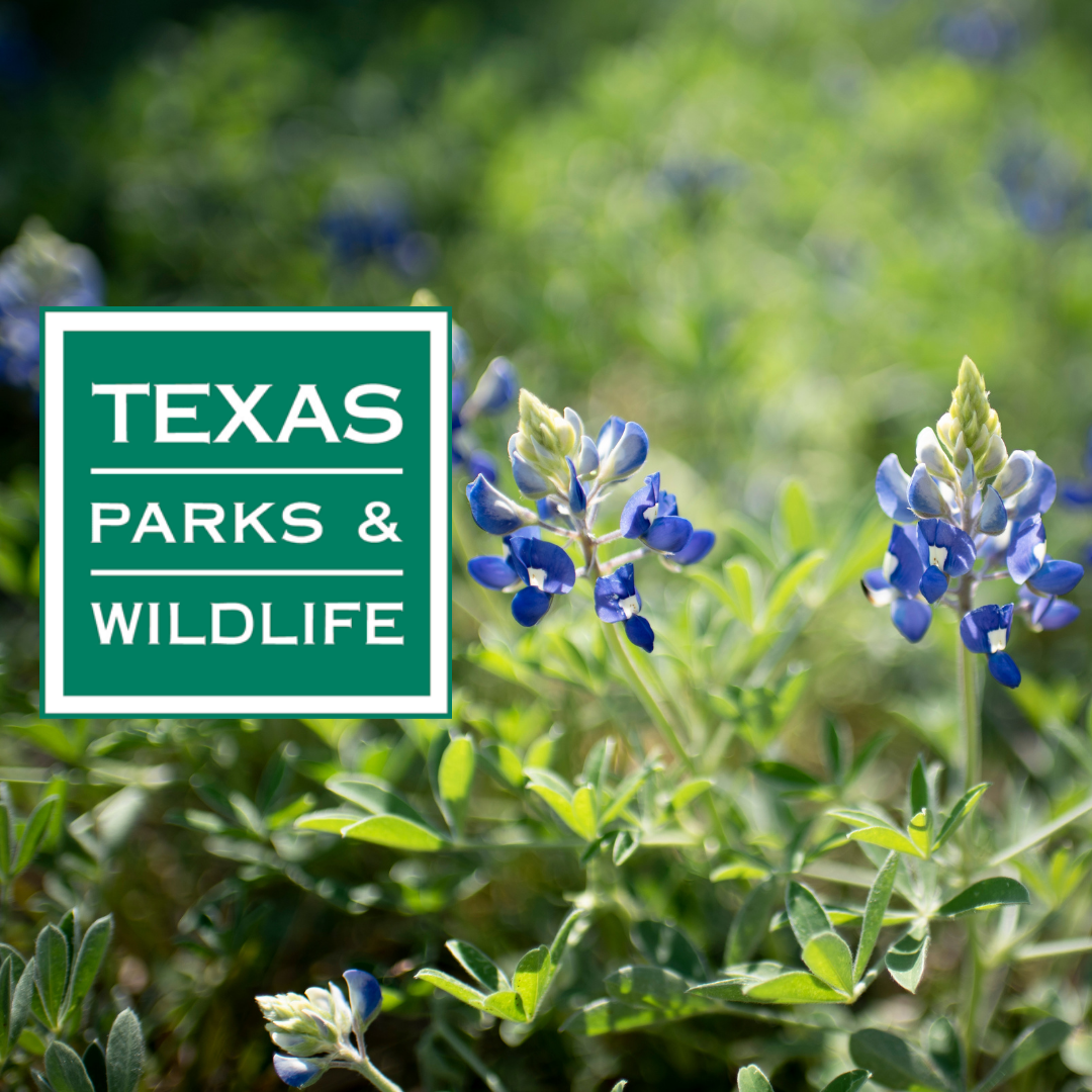 Energy Conservation Tips & Tricks : Office of Sustainability : Texas ...