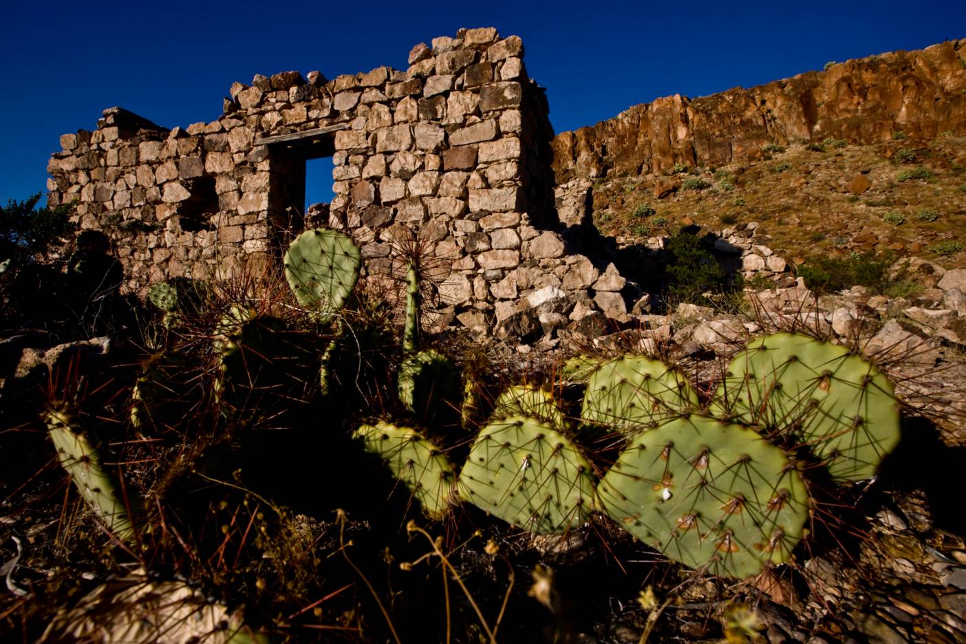 Volunteer : Texas Public Archaeology Network : Texas State University