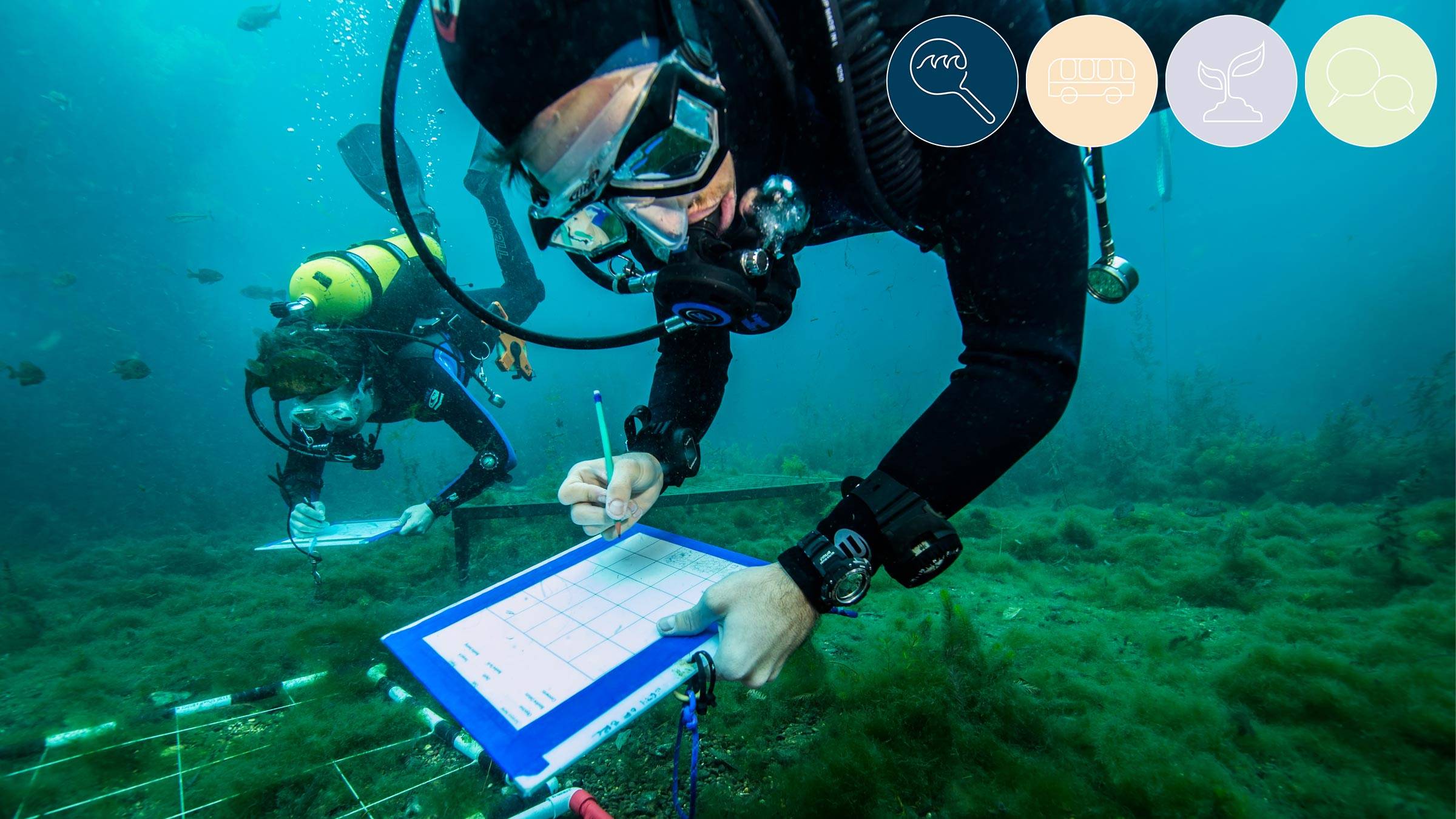 The Meadows Center for Water and the Environment : Texas State University