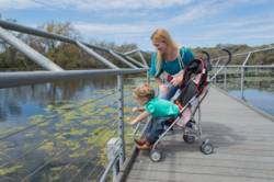 Explore Spring Lake : The Meadows Center for Water and the Environment ...