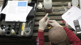 Texas Stream Team : The Meadows Center for Water and the Environment ...