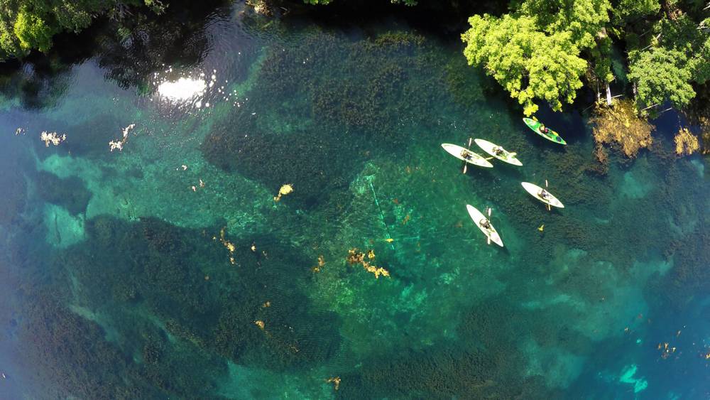 Spring Lake Eco Adventures : The Meadows Center for Water and the ...