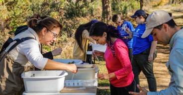 Texas Stream Team : The Meadows Center for Water and the Environment ...