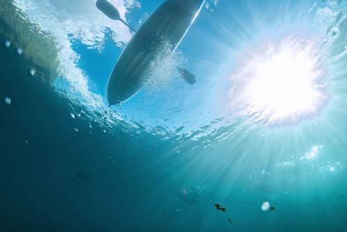 Explore Spring Lake : The Meadows Center for Water and the Environment ...