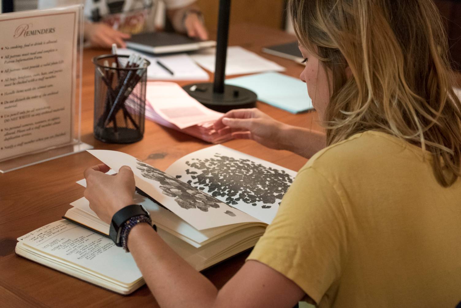 The Wittliff Collections