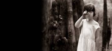 The Wittliff Collections