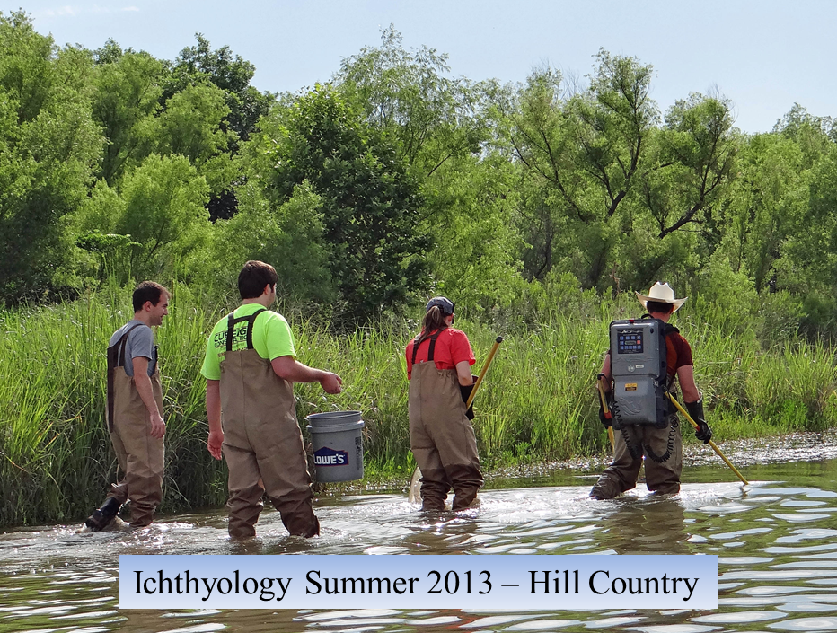 Lab of Dr. Tim Bonner : Department of Biology : Texas State University