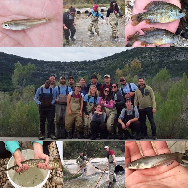 Lab of Dr. Tim Bonner : Department of Biology : Texas State University