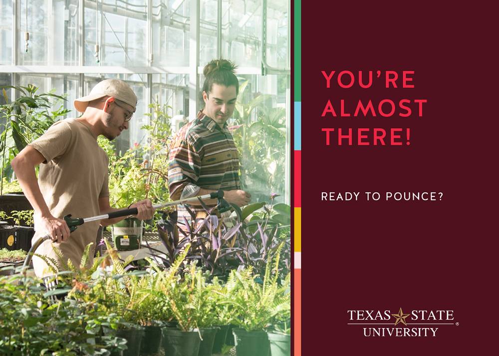 Graphic Elements : Brand Guidelines : Texas State University