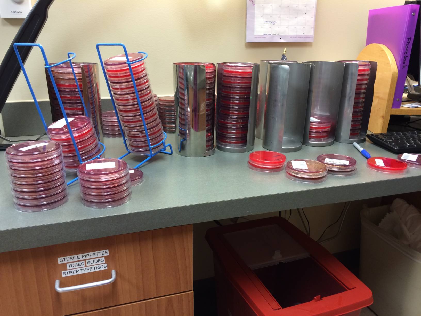 Micro Checklist : Medical Laboratory Science Program : Texas State ...