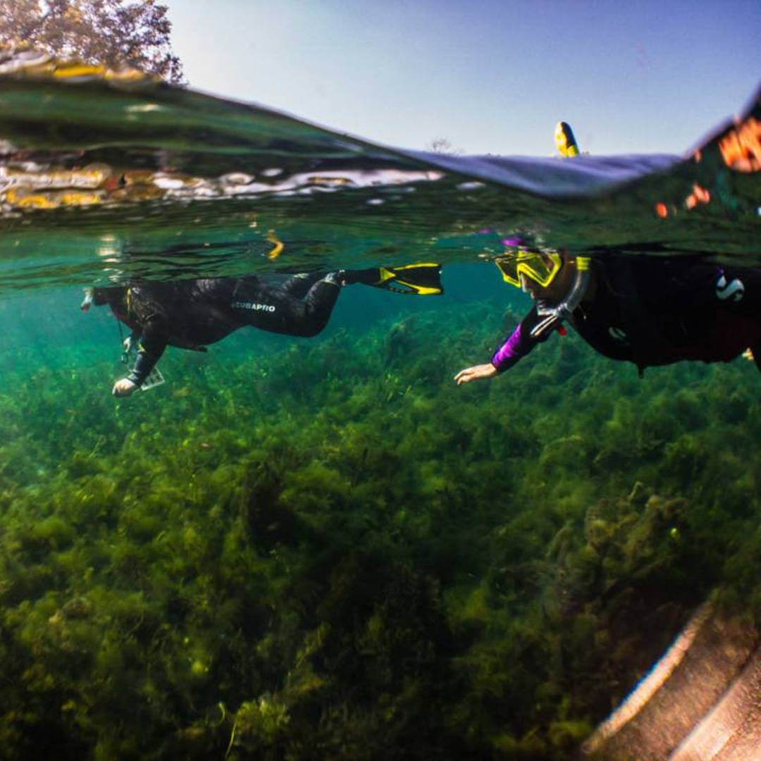 Spring Lake Eco Adventures : The Meadows Center for Water and the ...