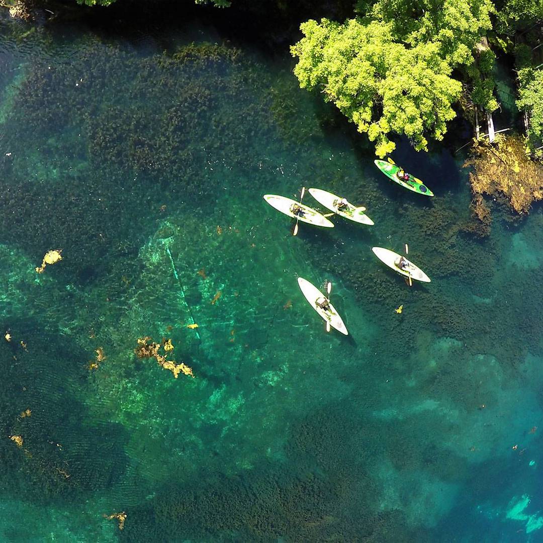 Spring Lake Eco Adventures : The Meadows Center for Water and the ...