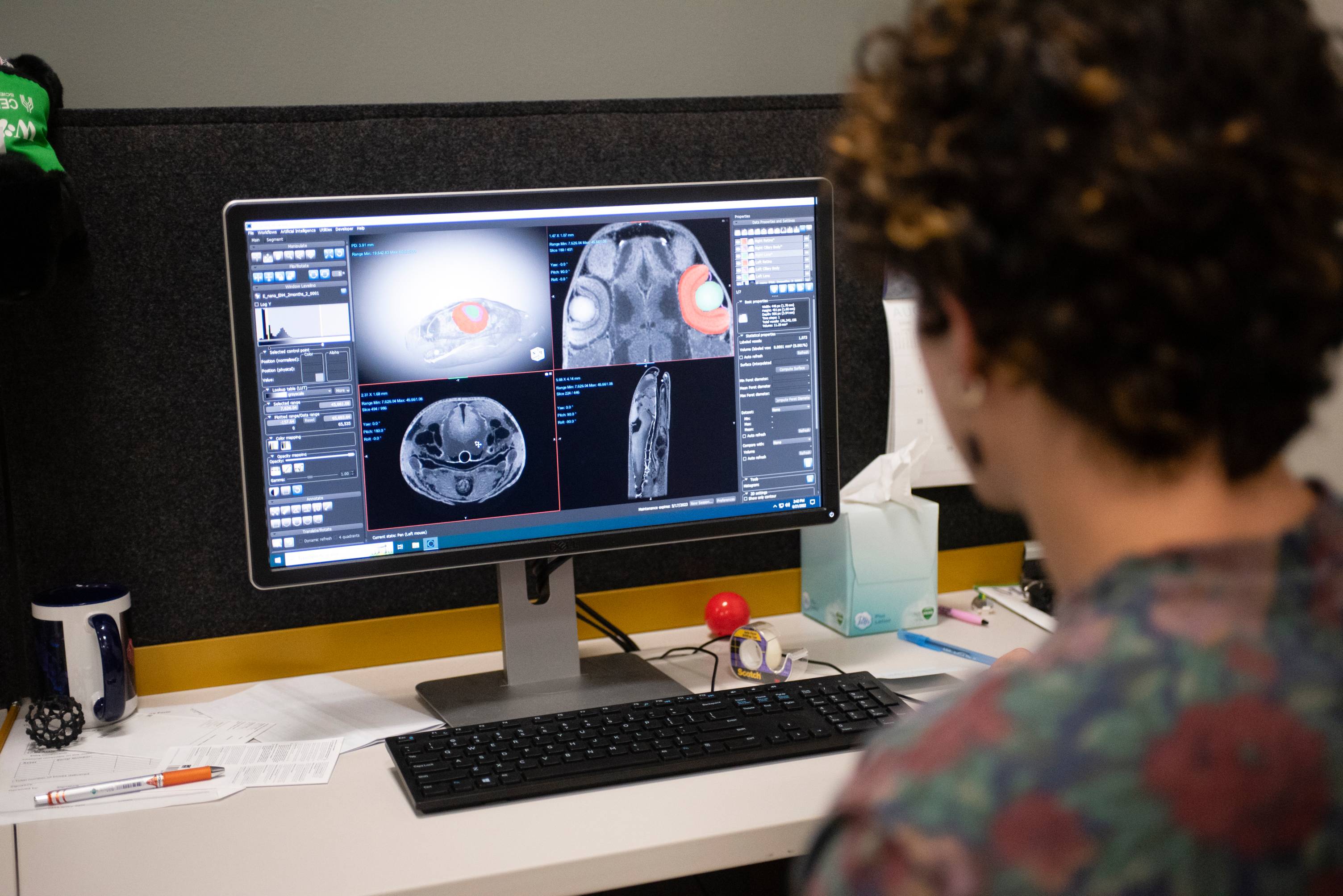 Education and Training : Texas State Center for Analytics and Data ...