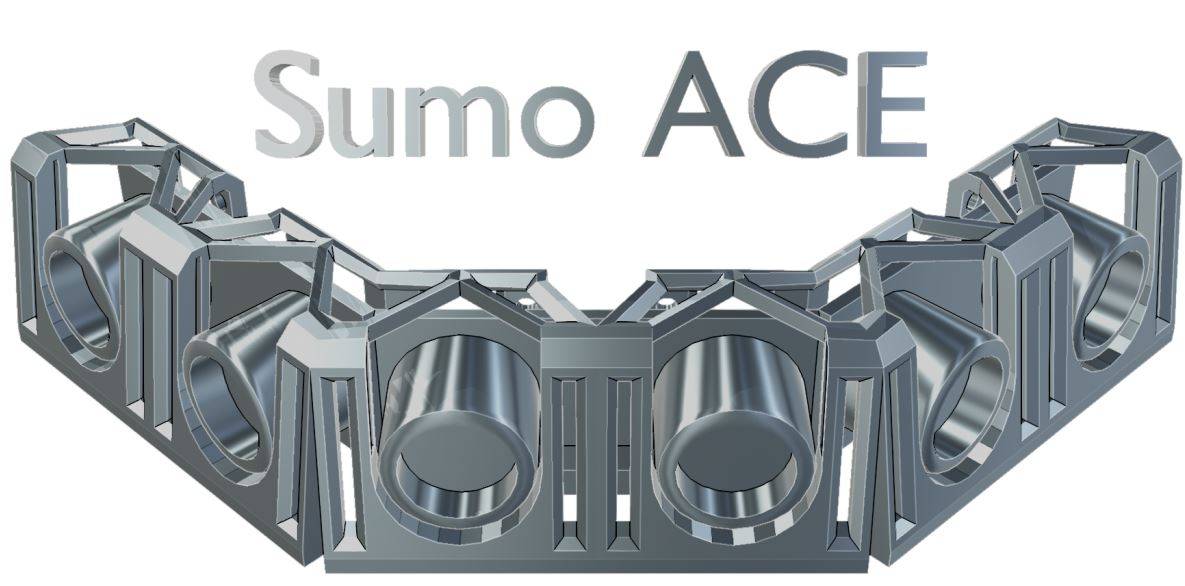 E2.04 - Sumo ACE : Ingram School of Engineering : Texas State University